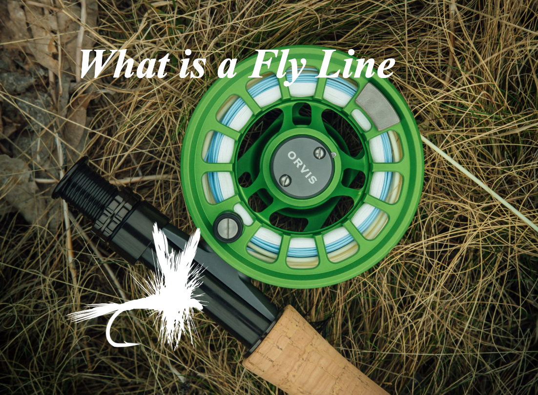 Fly Line